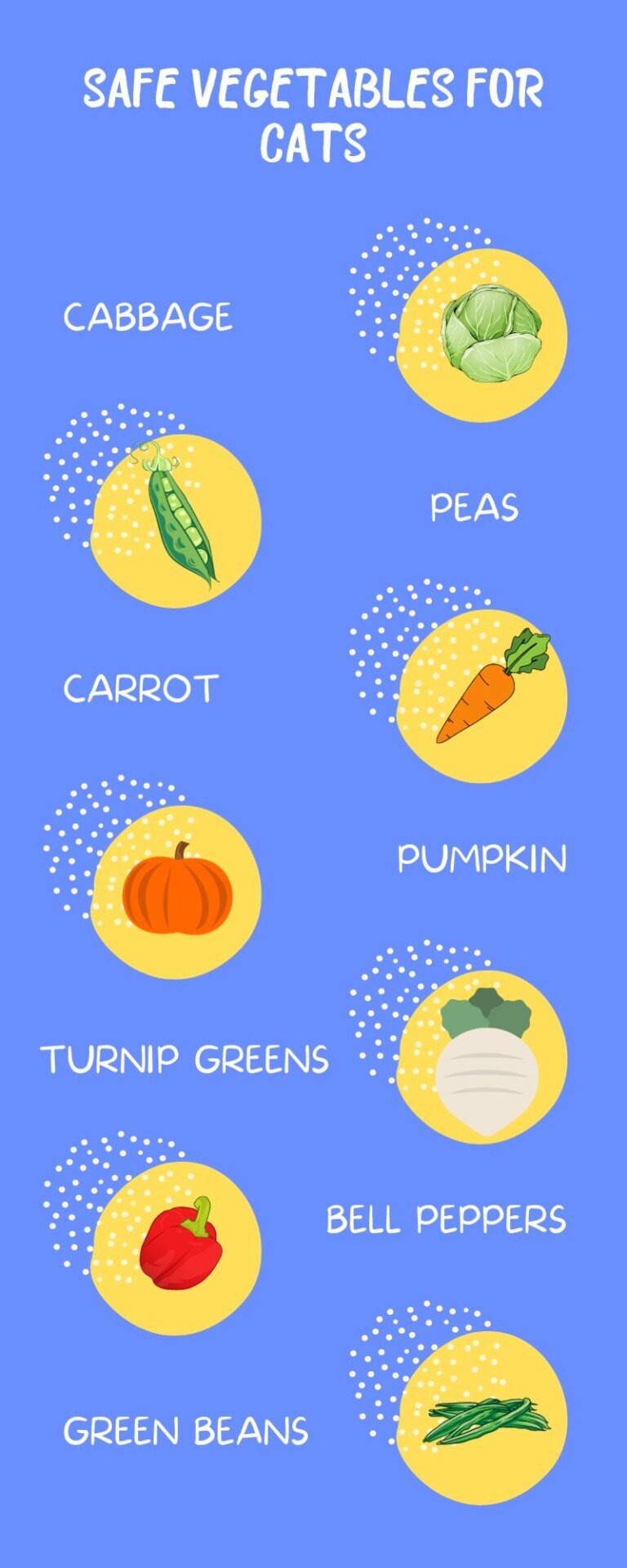 Can Cats Eat Vegetables? Exploring Nutritious and Safe Choices