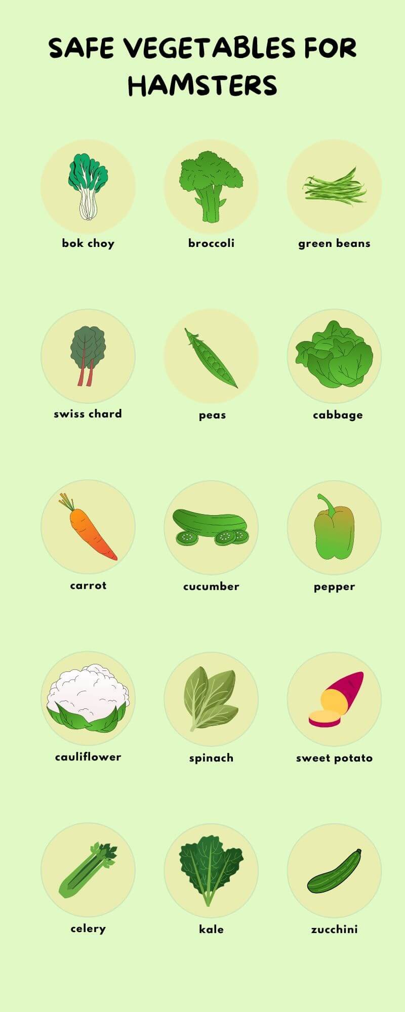 Can Hamsters Eat Vegetables? A Delicious Adventure Awaits!